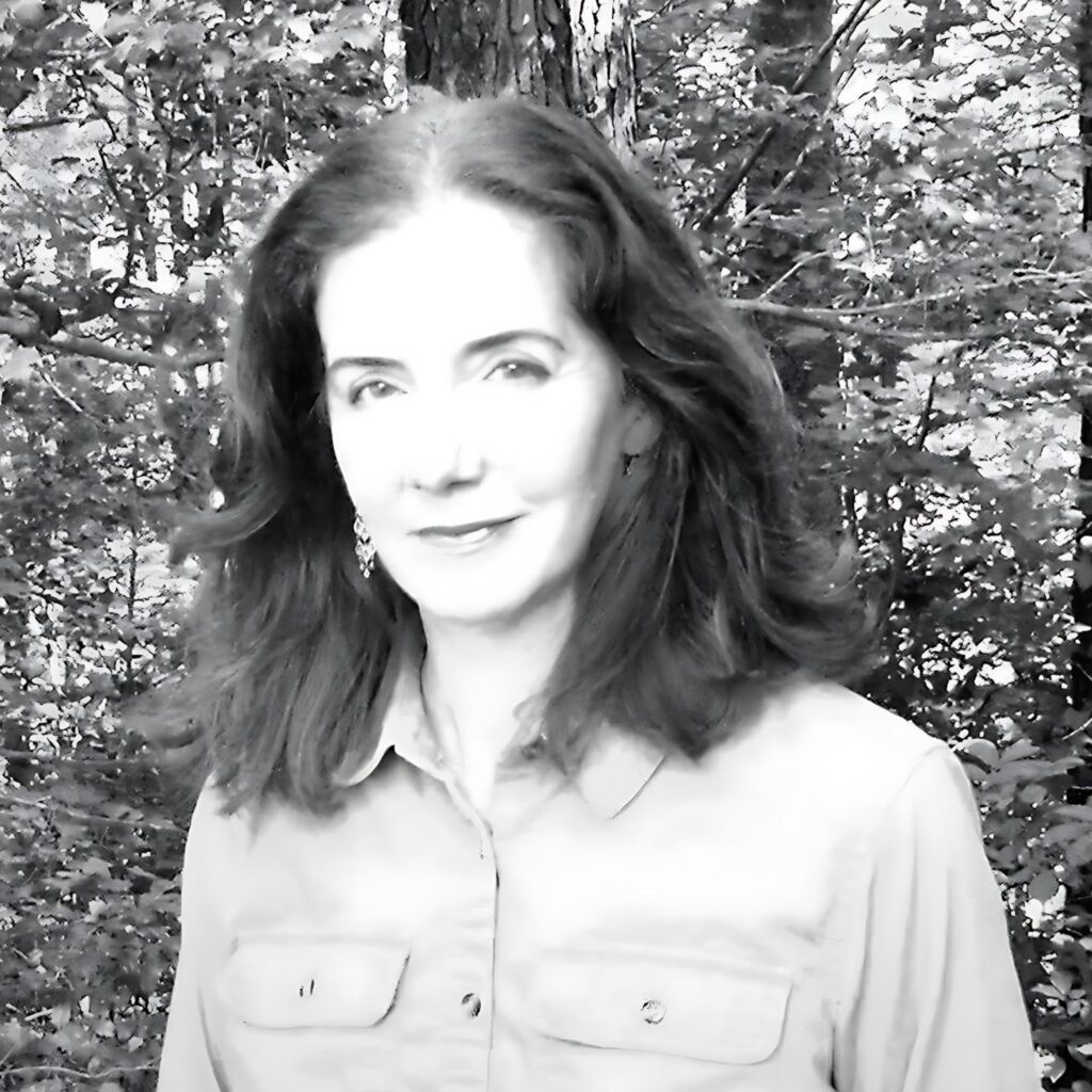 First Council of Nicaea (325 AD), its Context and Aftermath - Saint ...